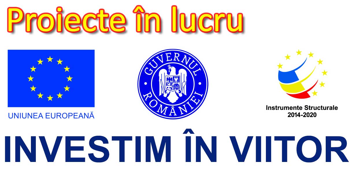 Proiect de hotarare nr.3-2025 – Consiliul Local și Primăria Comunei ...